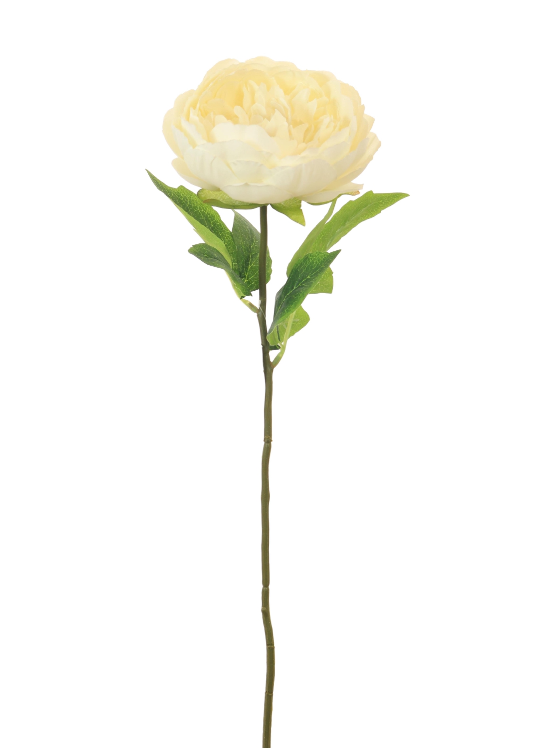 Single Stem Silk Cream Peony 56cm