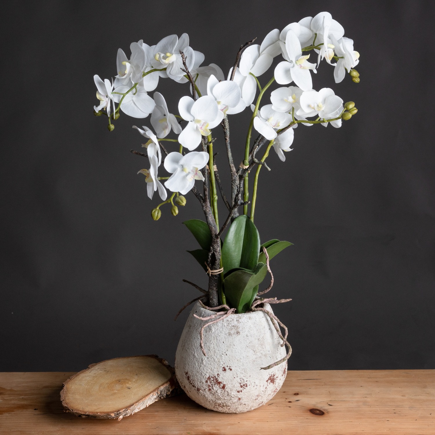 Artificial white orchid store