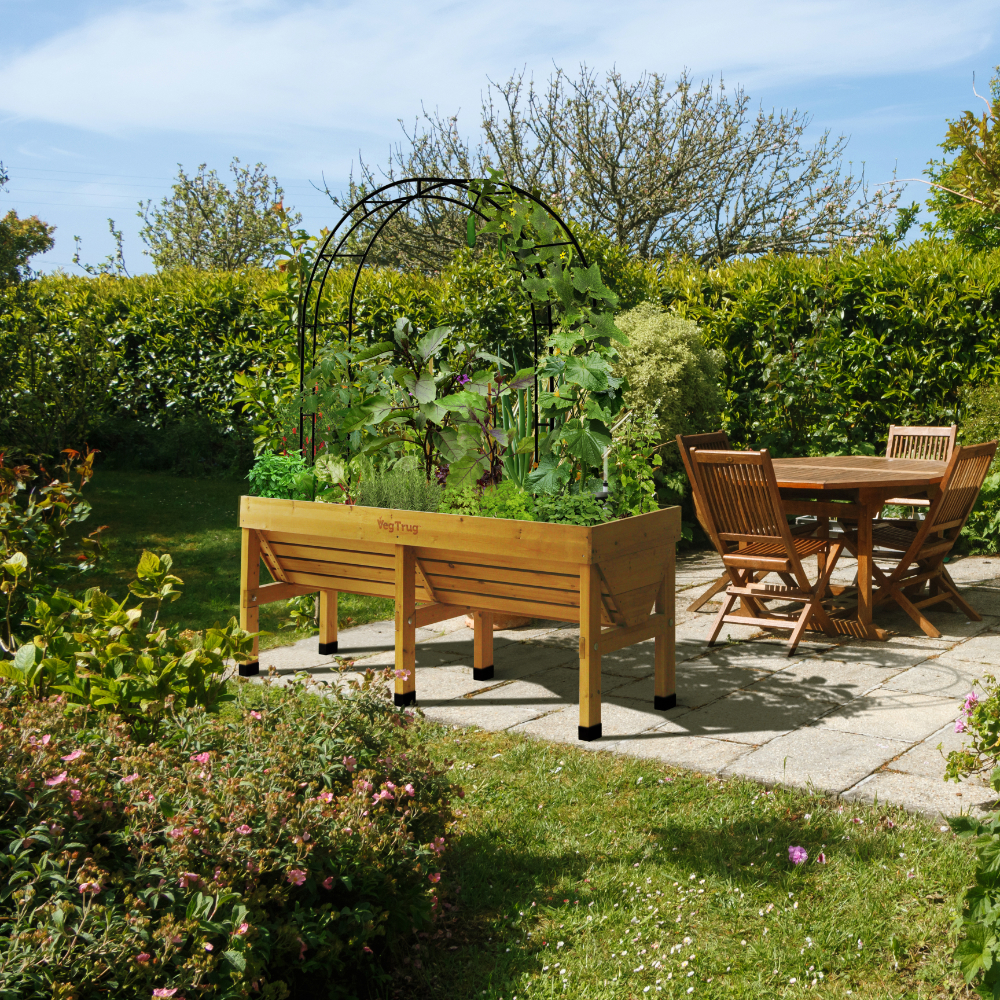 Climbing Arch - Black | Barnardo's Online Charity Shop