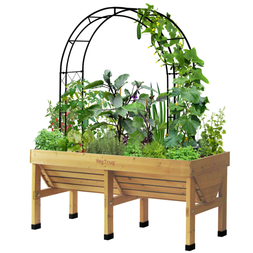 Climbing Arch - Sage Green | Barnardo's Online Charity Shop