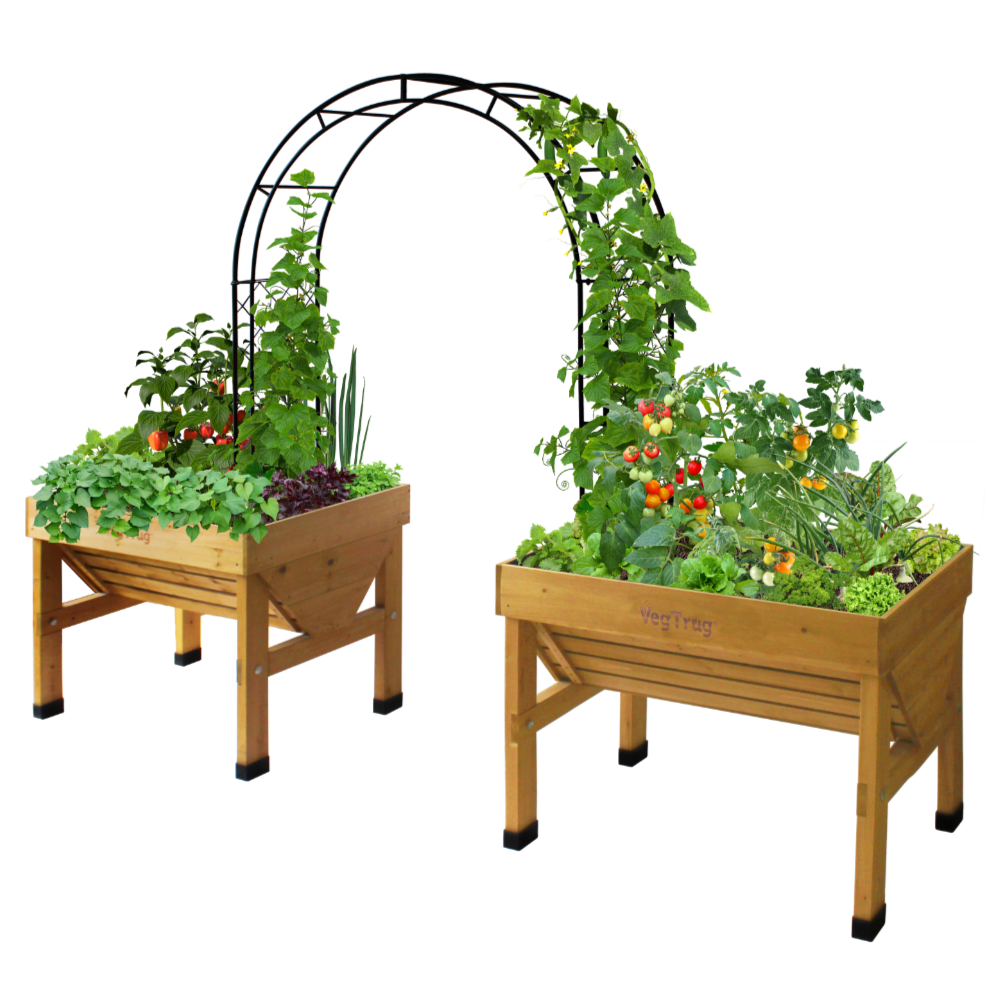 Climbing Arch - Sage Green | Barnardo's Online Charity Shop