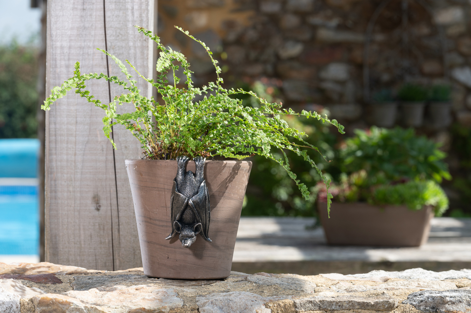 Hanging Bat & Open Winged Bat Pot Buddies | Barnardo's Online Charity Shop