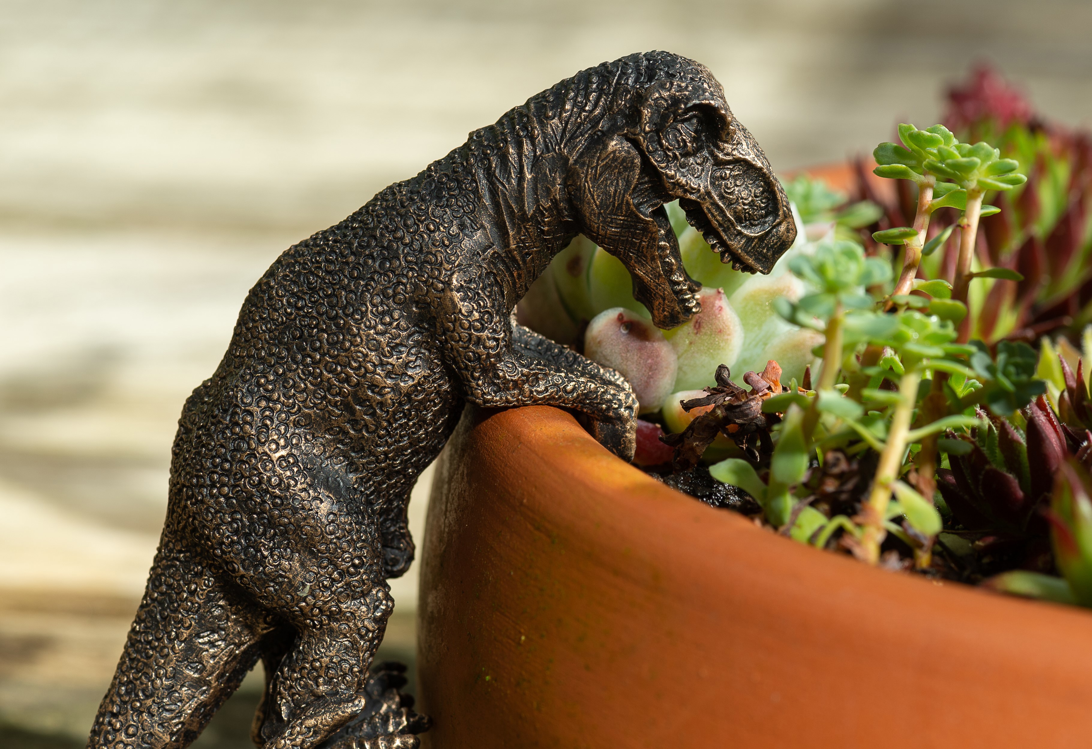 T-Rex & Velociraptor Pot Buddies | Barnardo's Online Charity Shop
